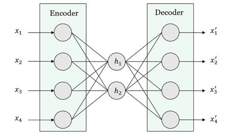 Structure Of A Typical Autoencoder In This Specific Example The
