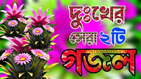 উরে কোথাই চলছো পাখি সেরা ২টি গজল Best Islamic Ghazal Heart Touching