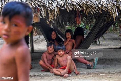71 Waiapi Tribe Photos And High Res Pictures Getty Images
