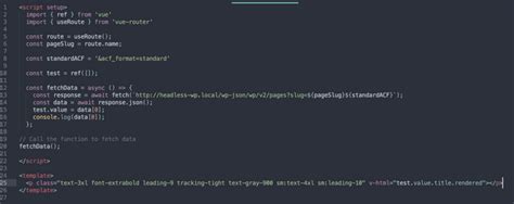 Why Cant I Access My Fetched Data In The Template Rvuejs
