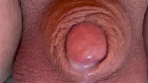 Micro Penis Pre Cum Photos Nude Pics Xhamster