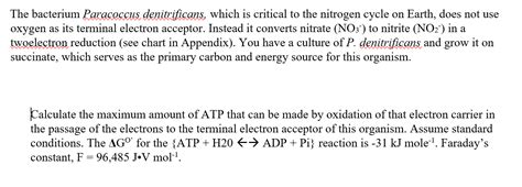 Solved The Bacterium Paracoccus Denitrificans Which Is