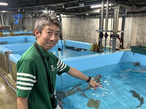 アクアワールド・大洗 サメスペシャルツアー（給餌体験付き） 観光いばらき公式ホームページ