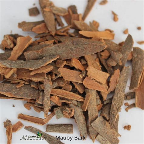 Premium Mauby Bark Etsy