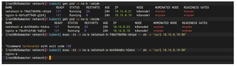 k8s的networkpolicy使用教程 csdn博客