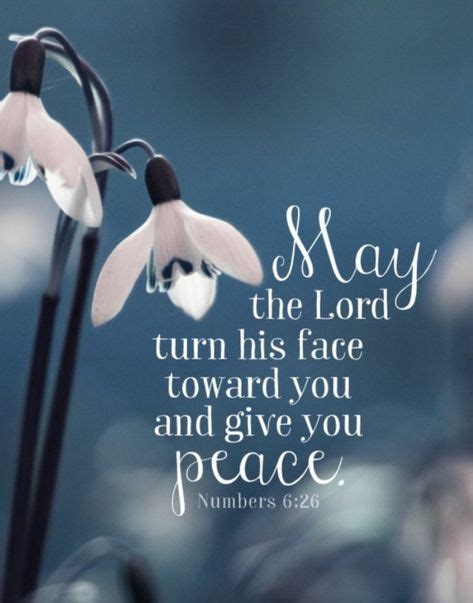 34 Numbers Bible Verses Ideas Bible Verses Bible Verses