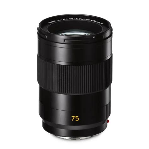 Leica Apo Summicron Sl 75mm F 2 Asph Black Anodized Finish At The Best Price In India Buy