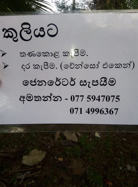තනකොල සහ ගස් කැපිම දර කැපිම