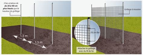 Fabriquer Des Rames Pour Haricots Potager