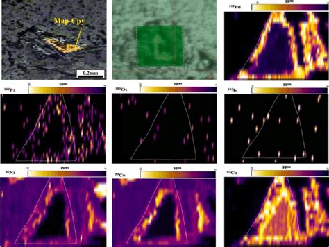 La Icp Ms Elemental Map Raster Of The Selective Chalcopyrite Cpy