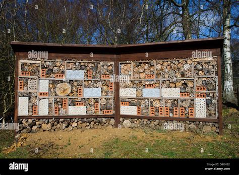 The Guiness World Record Holder For The Largest Bug Hotel At Sevenoaks