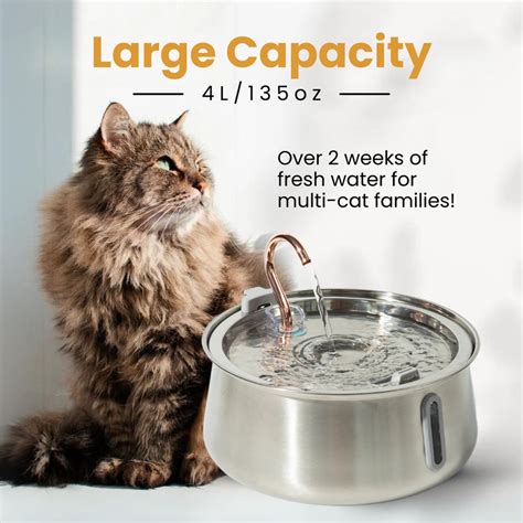 The Kittyspout™ 2 0 Health And Happiness Cat Kit