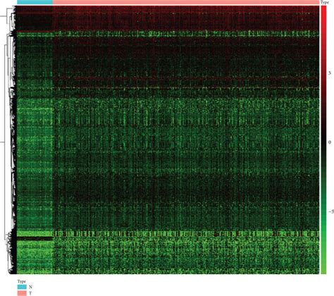 Delncrnas And Immune Related Lncrnas In Hepatocellular Carcinoma Based Download Scientific