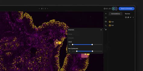 V Darwin Changelog Latest Updates Features