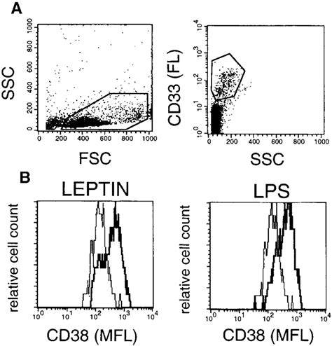Leptin Stimulation Of Monocyte Activation Cells Were Cultured For 72 H