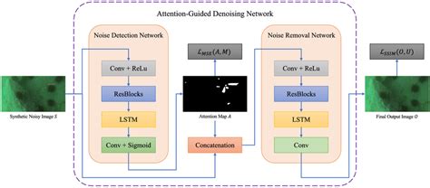The Architecture Of The Proposed Attention Guided Marine Snow Denoising Download Scientific