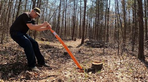 How To Remove Tree Stump With Hand Tools Storables