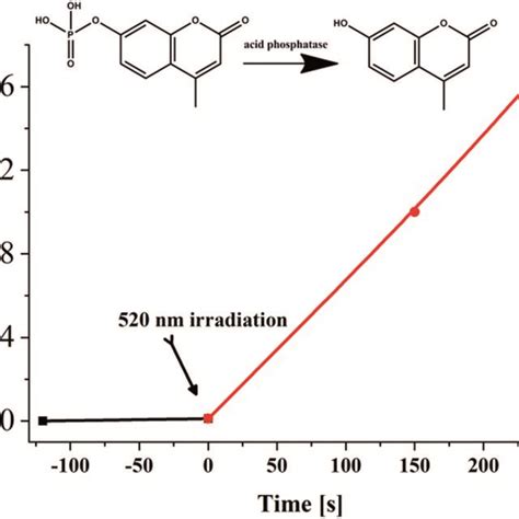 Hydrolytic Conversion Of Mup To Mu By Acid Phosphatase 0 08 Mg Ml⁻¹
