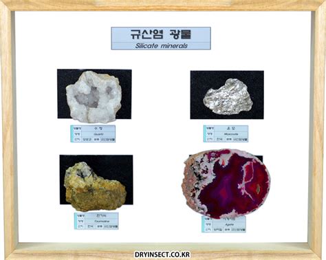 만천곤충박물관 전시용 완성상자규산염 광물