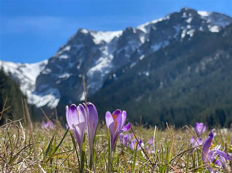 Nareszcie wiosna w Tatrach Zakoplan Zakopane góry i trochę kultury