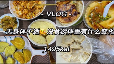 一天身体不适没食欲体重有什么变化 Youtube