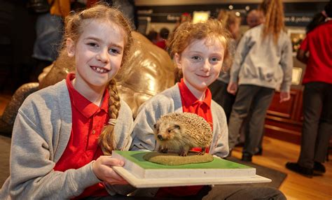 Natural History Museum Tring The Great British School Trip