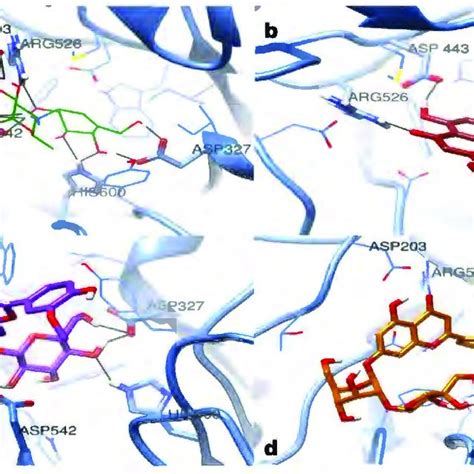 Molecular Docking Results The Predicted Binding Mode Of A Acarbose