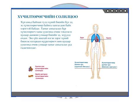 лекц 3 амьсгалын эрхтэн тогтолцоо Pptx