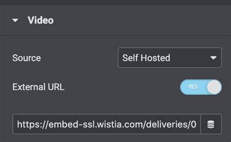 how to use wistia with revolution slider anphira website development