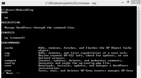 setup wp cli on windows operating system