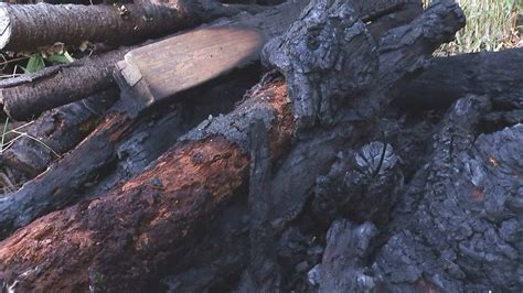 公園で伐採した木など燃える火事 不審火の可能性も 大分・中津市 Tbs News Dig
