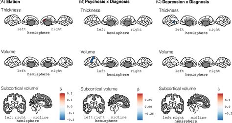 Neuropsychiatric Symptoms And Brain Morphology In Patients With Mild