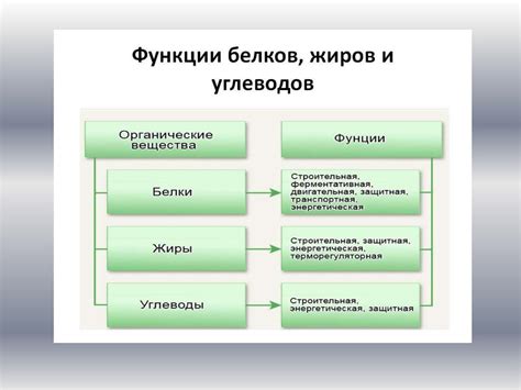 Функции белков жиров и углеводов презентация онлайн