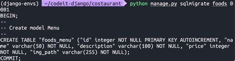 Django Migration