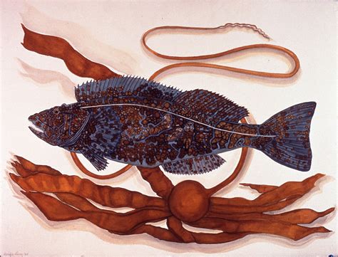 Pacific Lingcod Whalebone Studio