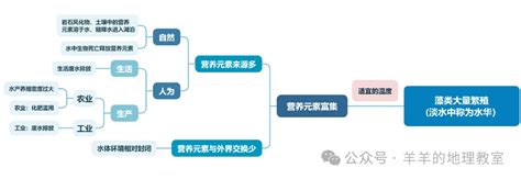水体富营养化知识全解！快来看看什么是水华和赤潮～ 哔哩哔哩