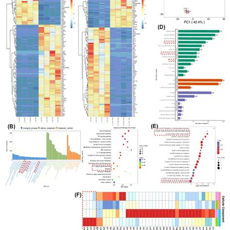 Figure Activation Of Invariant Natural Killer T Cells At The