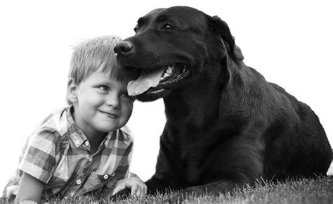 Police Based Victim Services Qathet Safety And Advocacy For Everyone