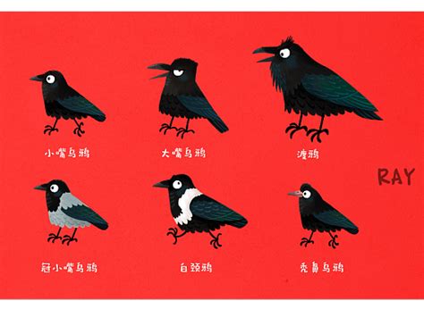 哒哒ray创作者主页成都插画师 站酷zcool