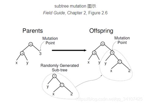 【遗传编程基因规划】genetic Programming Csdn博客