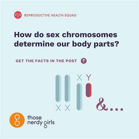 Those Q How Do Sex Chromosomes Determine Our Reproductive Body Parts A Biologic Sex Is Much
