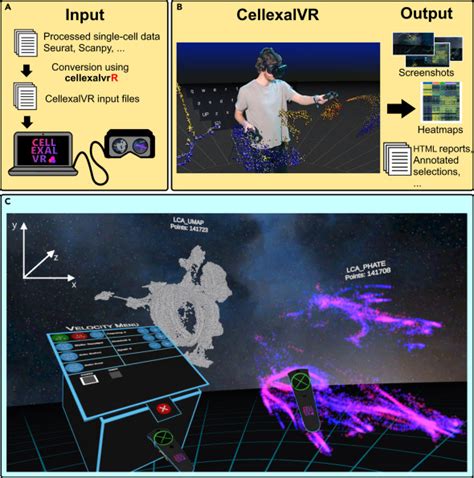 A Virtual Reality Platform To Visualize And Analyze Single Cell RNA Sequencing Data RNA Seq Blog