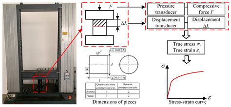 Schematic Diagram Of Quasi Static Compression Test Device Download
