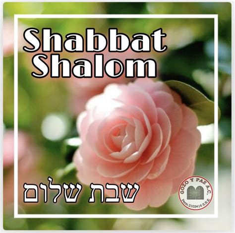 Pin By Maria Roberts On SHABBAT SHALOM Y SHAVUA TOV FRASES Shabbat
