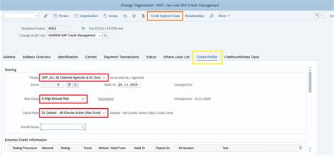 Sap Fscm Credit Check In Sap S4 Hana