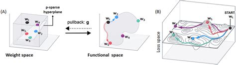 Geodesic Framework For Discovering Sparse Networks A Dense Network