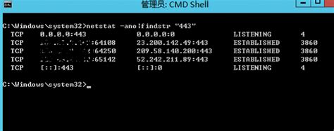 Windows netstat命令查看服务及监听端口进程
