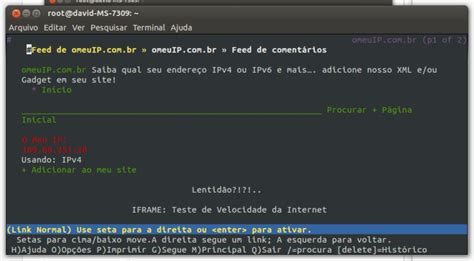 Descobrir o endereço IP público no terminal do linux
