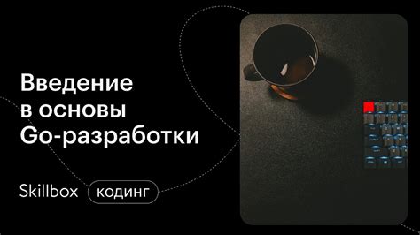 Язык программирования Go Первичная настройка окружения для разработки Интенсив по