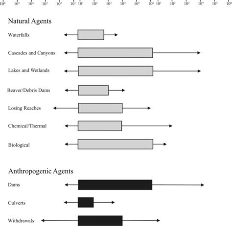 Pdf Causes And Consequences Of Habitat Fragmentation In River Networks